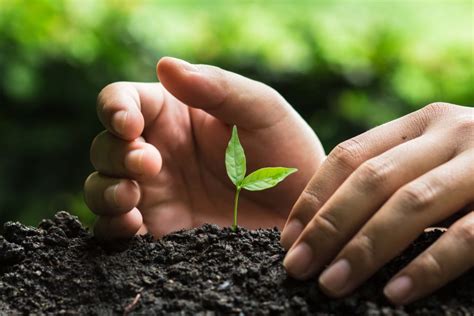 Nuestro Planeta Agricultura Sostenible Para Evitar El Cambio Climático
