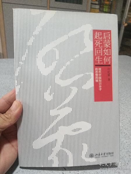 启蒙如何起死回生现代中国知识分子的思想困境 许纪霖 著 孔夫子旧书网