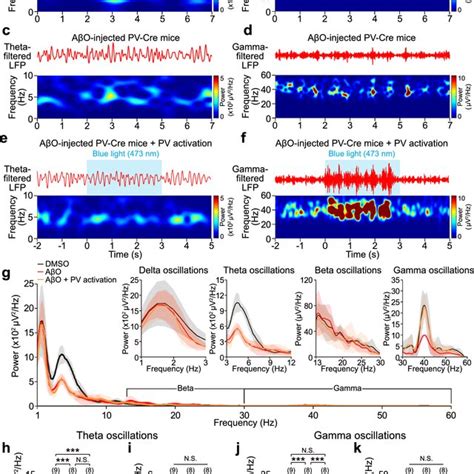 Optogenetic Activation Of Sst And Pv Interneurons Resynchronizes Sst