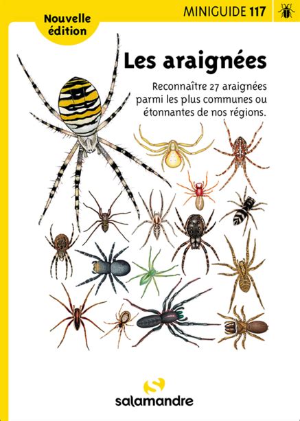Miniguide Les Araignées Fcpn
