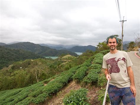 Pinglin How To Visit The Prettiest Tea Plantations Near Taipei