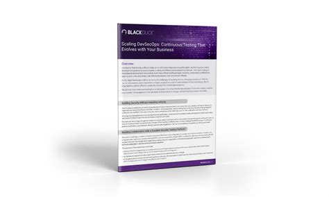 Polaris Application Security Platform Black Duck