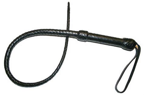 Terginum Sharp Whip Singletail Whip Leather Whip Braided Black