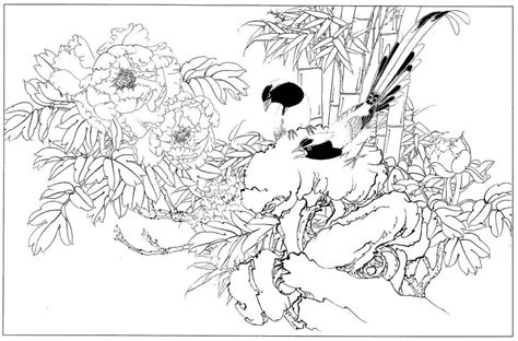 花卉白描线稿分享给你简单易学收藏起来临摹 搜狐大视野 搜狐新闻
