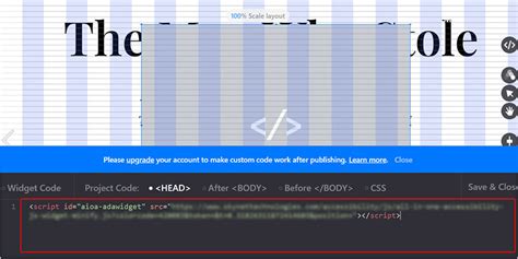 Readymag Web Accessibility Widget Installation All In One Accessibility