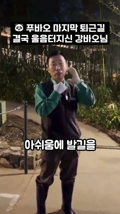 🐼푸바오 마지막 퇴근길 결국 울음터지신 강바오님 Youtube