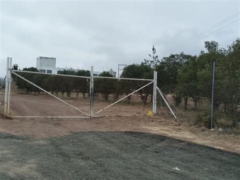 La Jornada Hidalgo