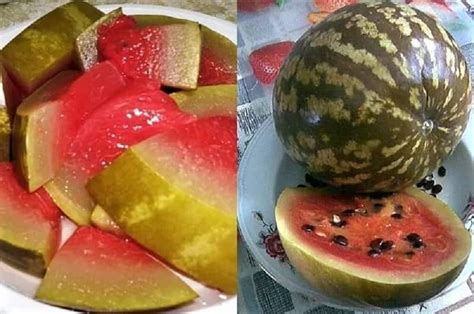 Арбузы соленые на зиму в бочке в домашних условиях рецепты