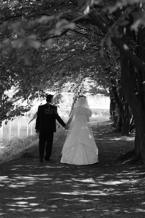 Novia Y Novio En El Parque Foto De Archivo Imagen De Hombre 1978124