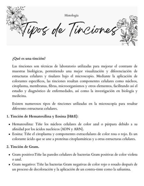 Tipos De Tinción Val Udocz