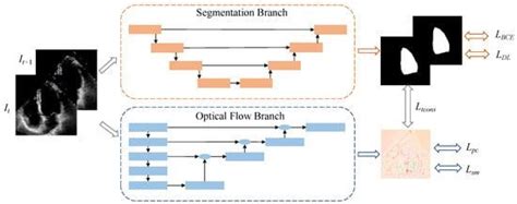 🗺️ Muf Net A Novel Self Attention Based Dual Task Learning Approach