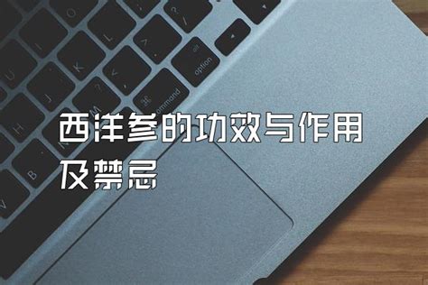 西洋参的功效与作用及禁忌 功效与作用 中药健康网