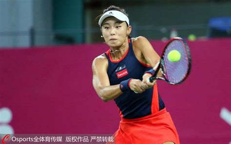 高清：wta广州网球公开赛 王蔷20佩特科维奇挺进决赛 体育 人民网