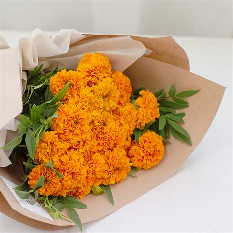 택배무료배송 메리골드 오렌지 원모먼트