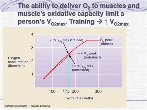 Ppt Exercise Physiology Powerpoint Presentation Free Download Id