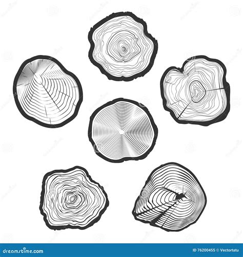 Tree Rings Vector Set Stock Vector Illustration Of Firewood
