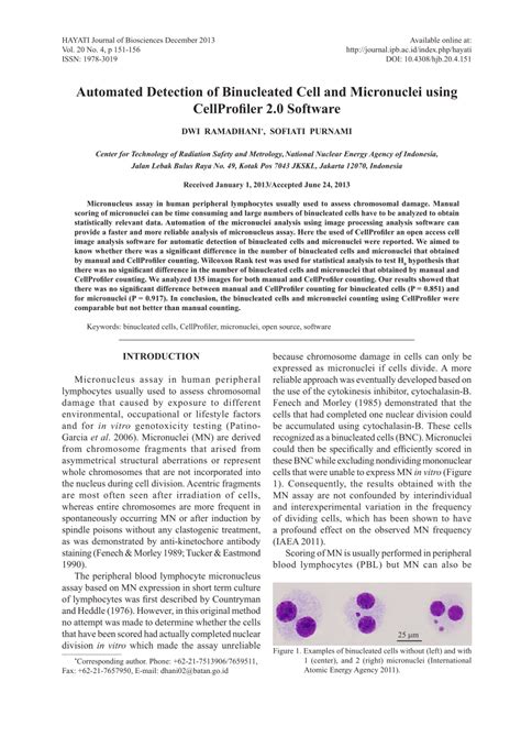 Pdf Automated Detection Of Binucleated Cell And Micronuclei Using
