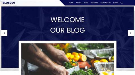 Download Free Bootstrap Templates Css Codex