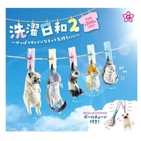 【卡ㄟ嚕 Kaeru】現貨 Yell 曬動物的好天氣p2 扭蛋 整套5款 狗 貓 刺蝟 蝦皮購物