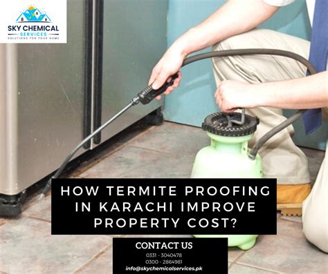 How Termite Proofing In Karachi Improve Property Cost Sky Chemicals
