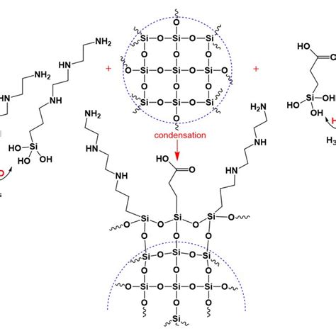 Schematic Illustration Of Silica Particles Modified With Detas Left