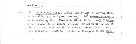 Learn Like A Topper Analyze The 2023 Class 10 Science Toppers Answer Sheet Strategy Cbse