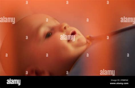 The Crib Stock Videos And Footage Hd And 4k Video Clips Alamy