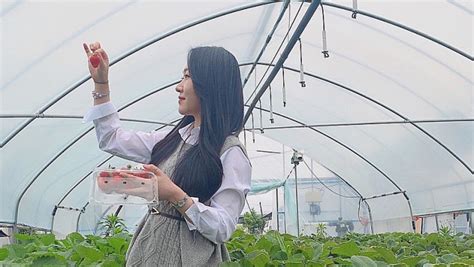 [남양주 데이트]🍓기쁨유기농딸기농장 딸기체험 딸기쨈만들기 가니일상일기 네이버 블로그