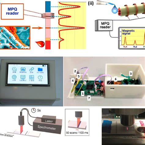A I Schematic Representation Of The Mpq Quantification Procedure Of