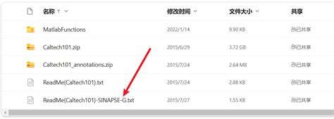 Datasets Ncaltech101 Bugs · Issue 255 · Fangwei123456spikingjelly