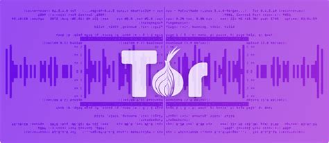 Set Up A Private Tor Exit Relay Never Ever Ever Ever Run An Exit