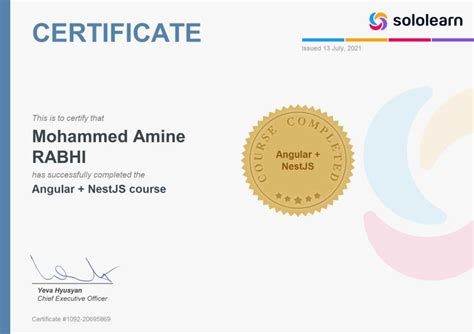 Rabhi Mohammed Amine On Linkedin New Skills Angular Nestjs Sololearn