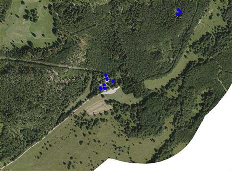 detection offset detected · issue 65 · wfletcher easygis · github