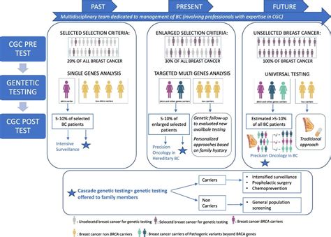 Cancer Genetic Counselling For Hereditary Breast Cancer In The Era Of Precision Oncology