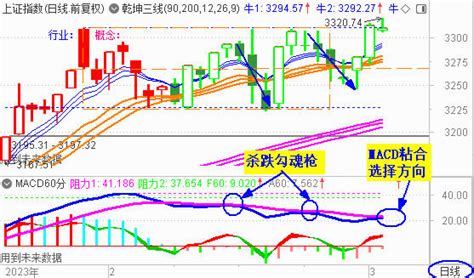 大盘收震荡十字星 谨防杀跌勾魂枪 中金在线财经号