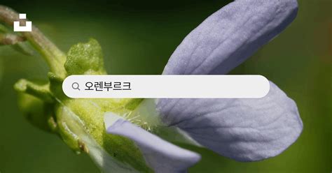 오렌부르크 사진 Unsplash에서 무료 이미지 다운로드
