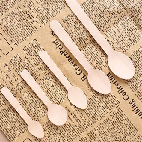 Disposable Kitchenware Ice Cream Scoop Biodegradable Food Packaging
