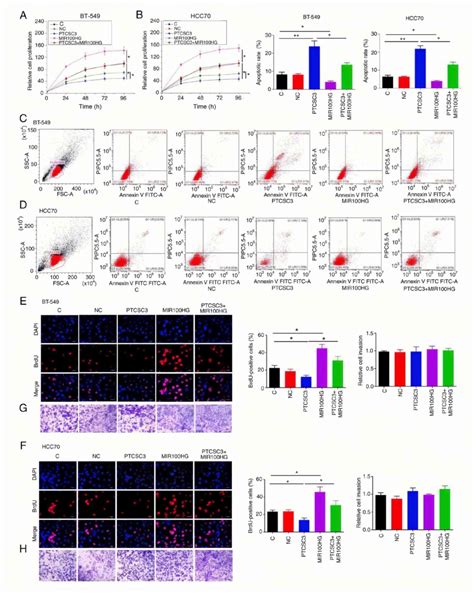 Long Noncoding RNA PTCSC3 Suppresses Triplenegative Breast Cancer By