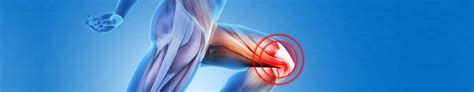 Common Knee Conditions The Olympia Clinic Specialist For Common