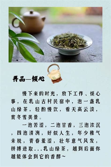 冬游威海 许一半茶香许一半时光 澎湃号政务 澎湃新闻 The Paper