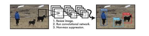 Yolov The Most Advanced Object Detection Algorithm Unite Ai