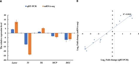 A Verification Of Rna Seq Sequencing Data By The Qrt Pcr Assay Lyase