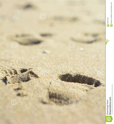 Adult Human Footprints Or Steps Foot On Yellow Wet Beach Sand On The