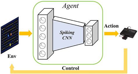 Frontiers Solving The Spike Feature Information Vanishing Problem In