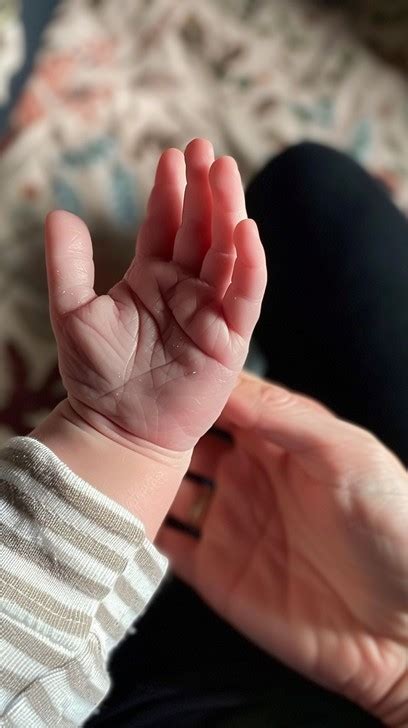 Free Tiny Hand Held Image Hand Infant Touch Download At Stockcake