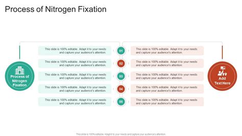 Process Of Nitrogen Fixation In Ppt Powerpoint Presentation Slide Templates Cpp PPT Slide