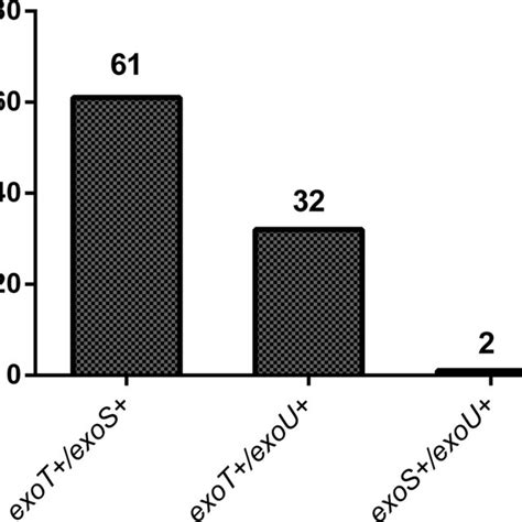 Distribution Of Exot Exos And Exou Genotypes Among P Aeruginosa