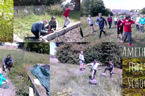 Forest School Year Six Science Warton St Pauls C Of E Primary Academy