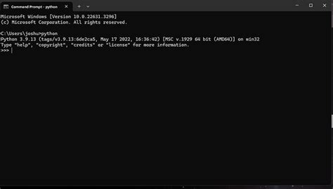 Exiting Because Of An Error Could Not Determine Python Version Exit