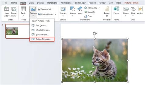 How To Add Borders To Images In PowerPoint MyExcelOnline
